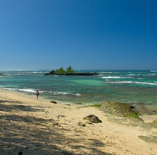 Pahipahi‘ālua Beach - Loulu Palm Retreats & Events